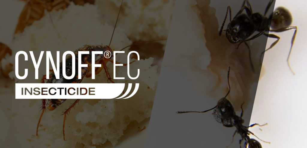 CYNOFF EC Insecticide | Cypermethrin | Mosquito, Cockroach and Housefly ...