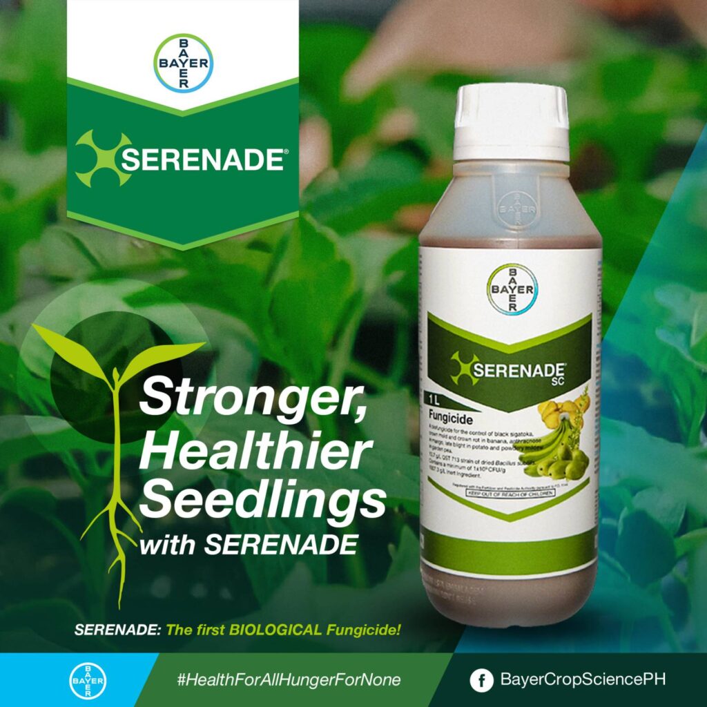 Serenade AS Bio Organic Fungicide – Bacillus amyloliquefaciens – 1 ...